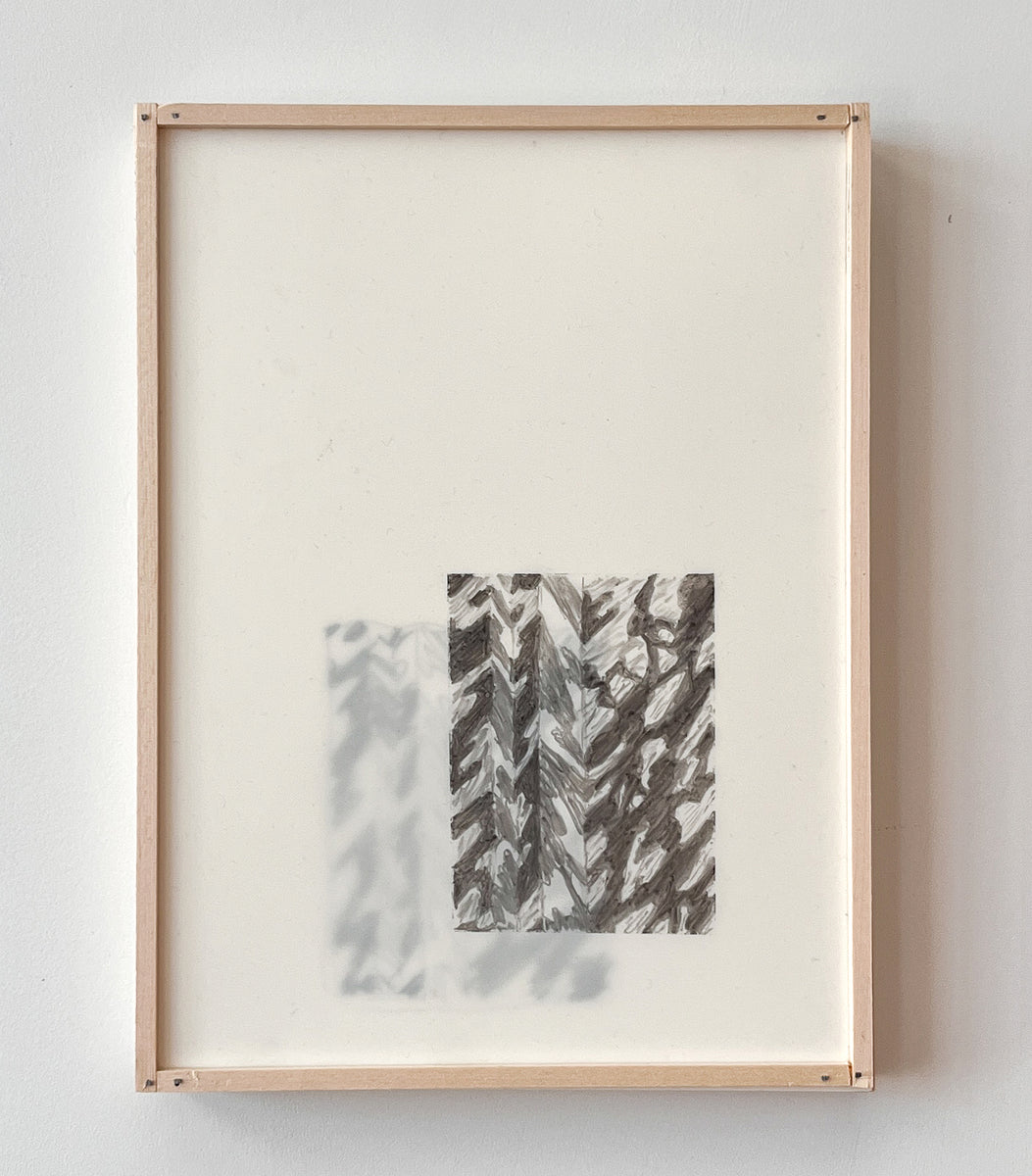Mary Royall Wilgis - Bewilderments of the eyes II – Delphian Gallery