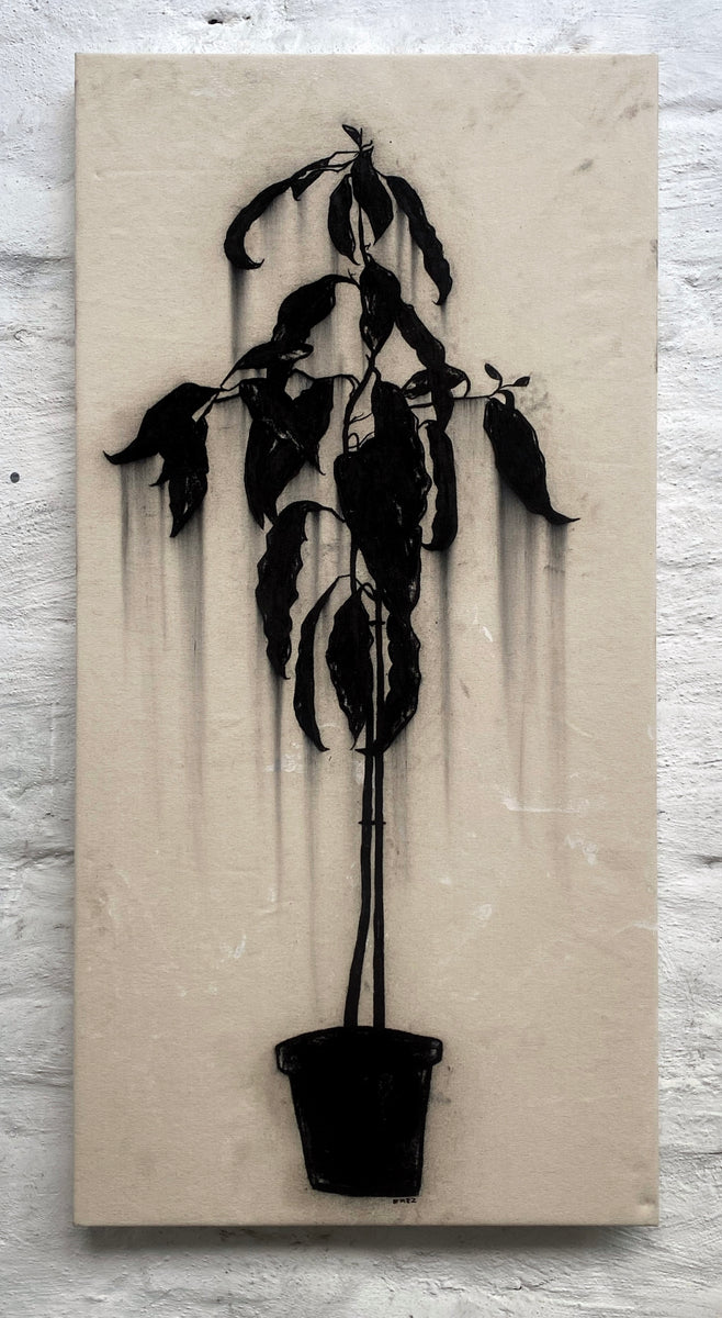 Benjamin Murphy - Albiorix – Delphian Gallery